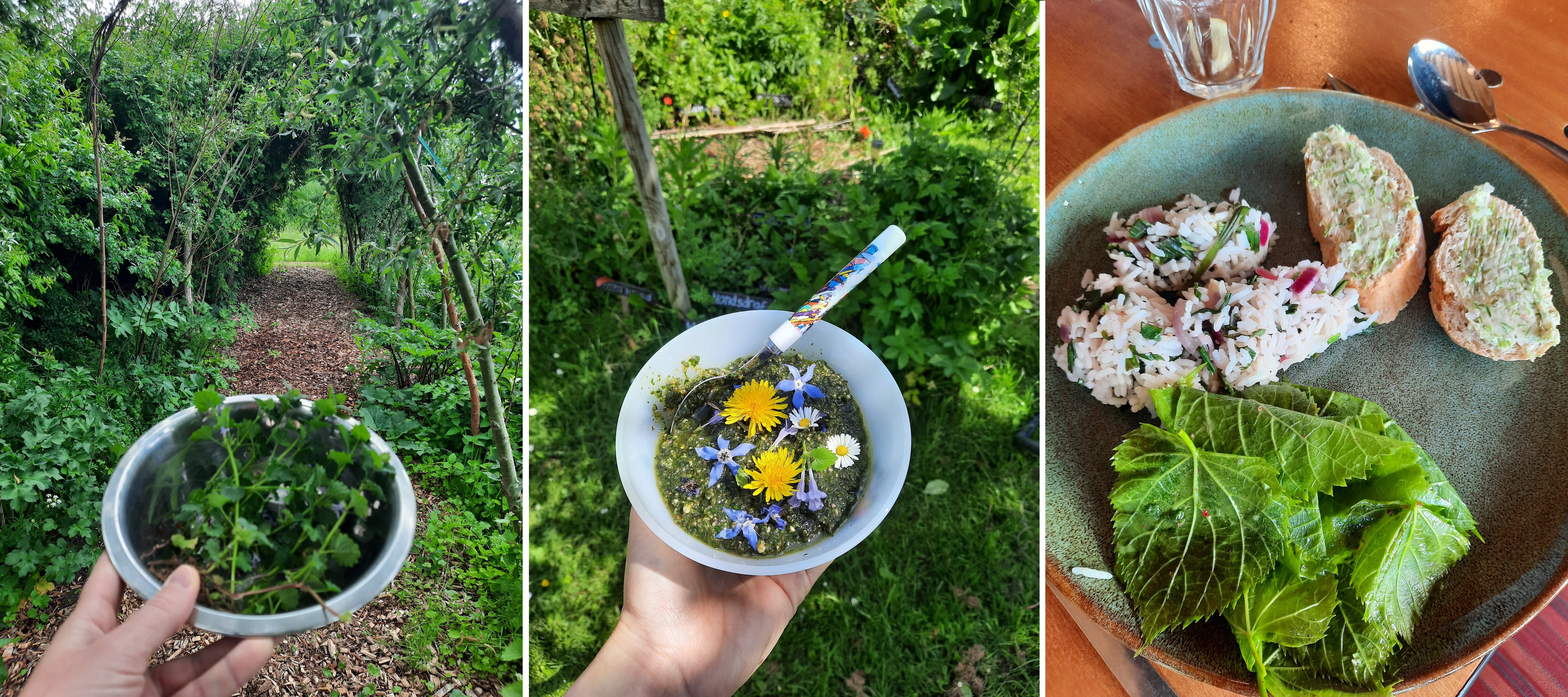 The food forest: an edible ecosystem for the future | Ebben Tree Nursery