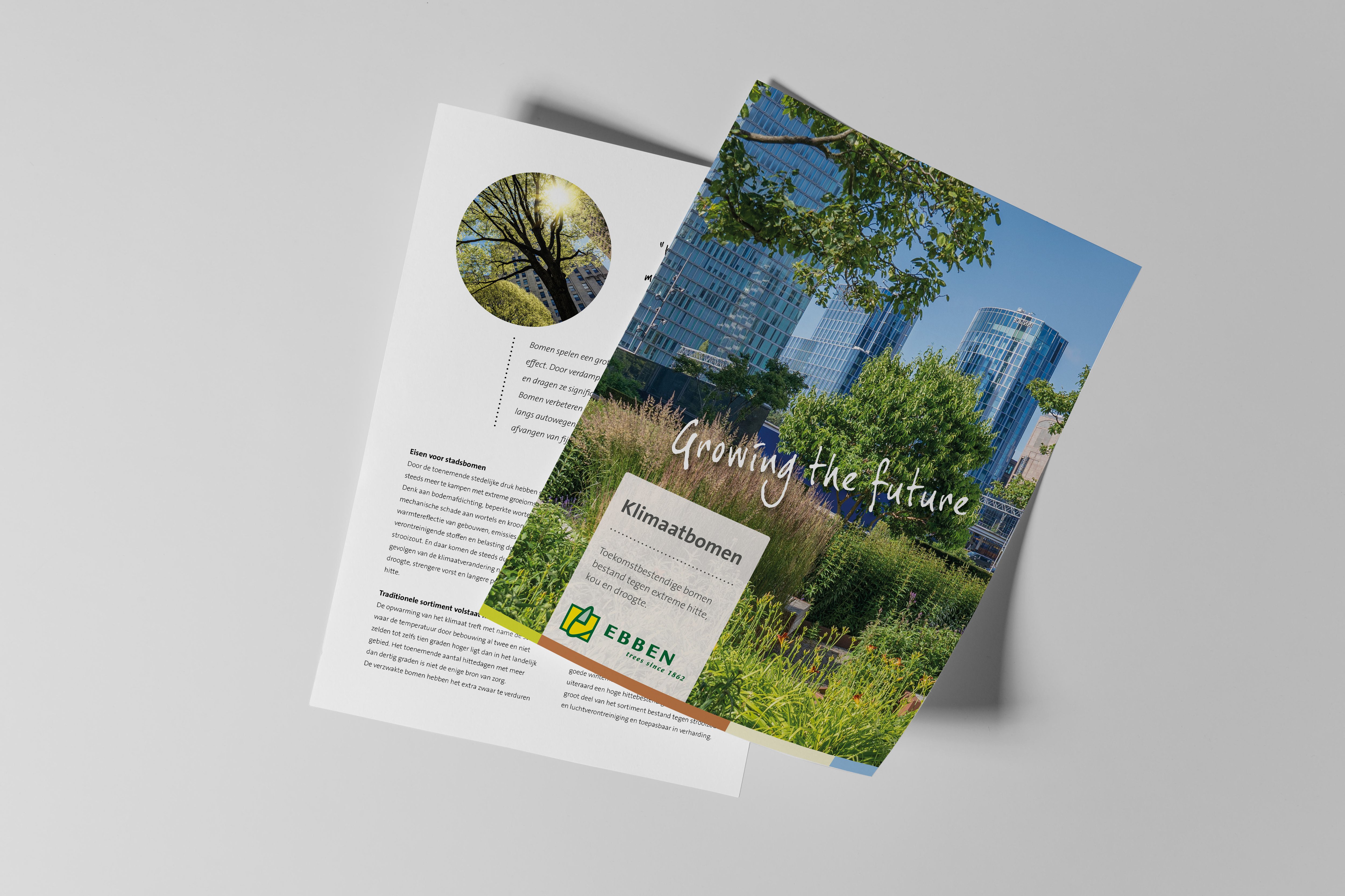 Wadi: the importance of a good design and the right layout | Ebben Tree ...