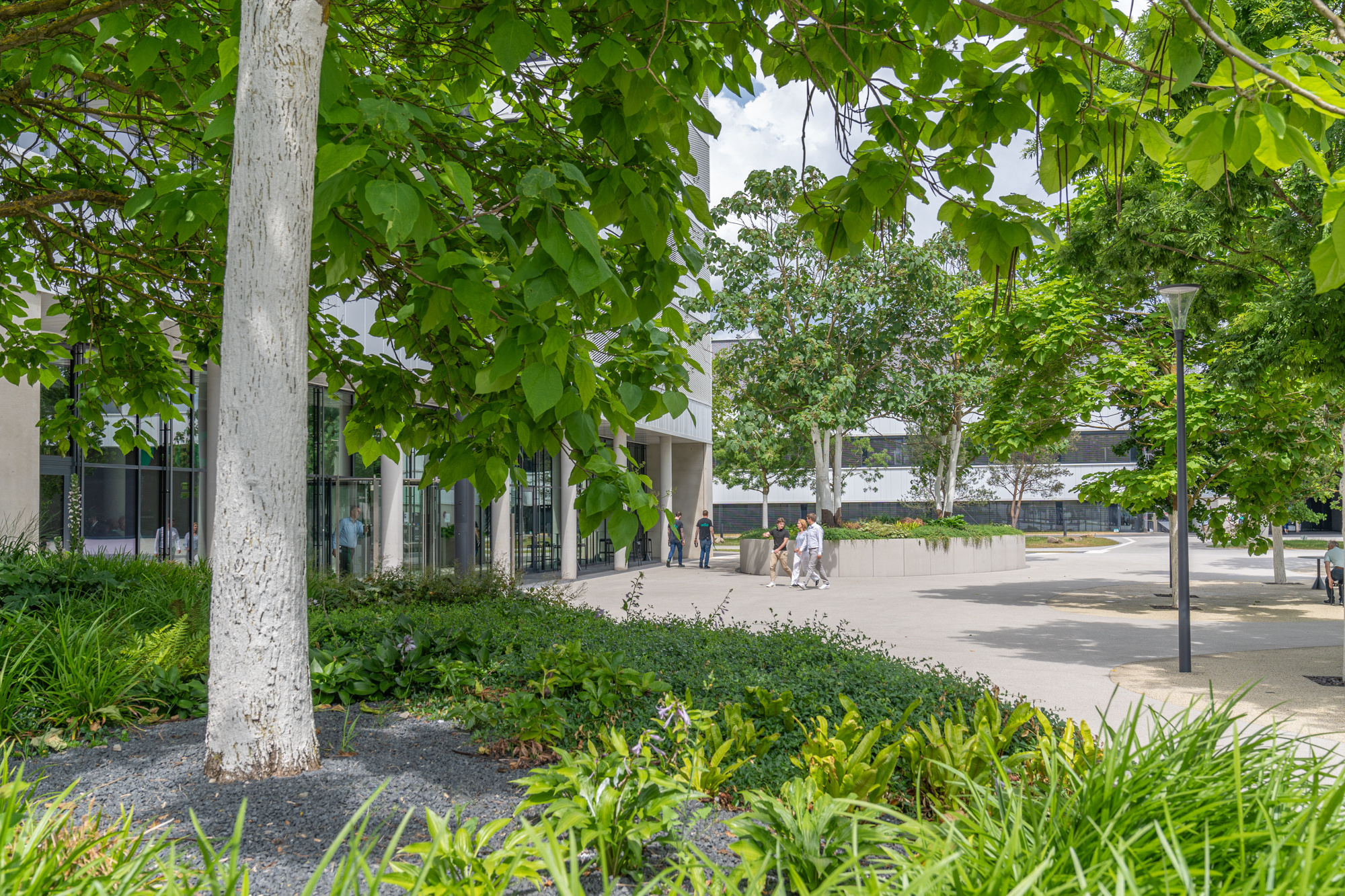 Trees within working landscapes of the future | Ebben Tree Nursery