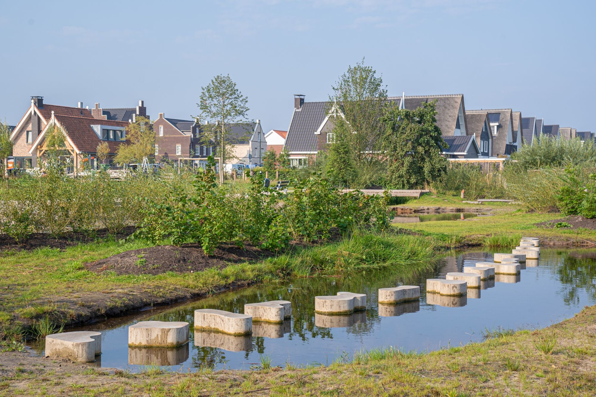 Wadi: het belang van een goed ontwerp en juiste inrichting | Ebben Tree ...