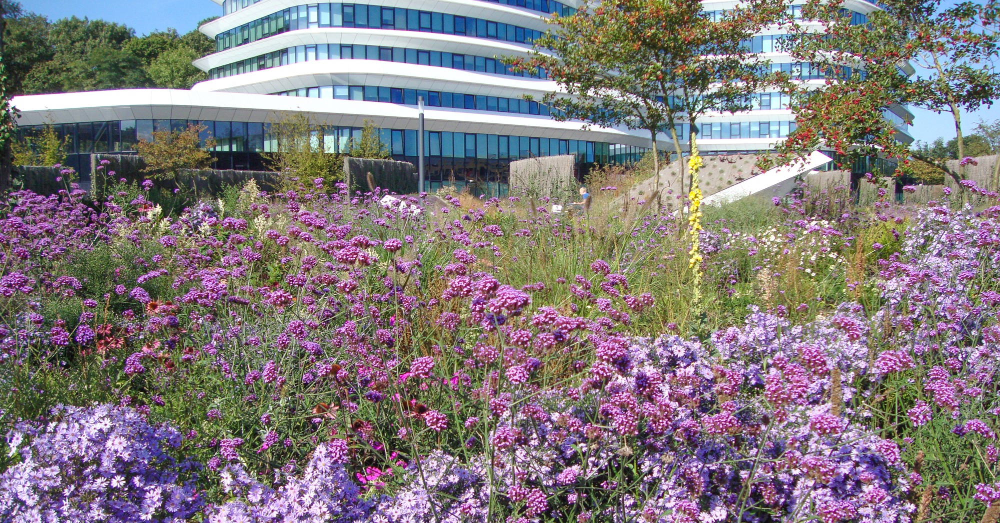 Boost biodiversity with trees | Ebben Tree Nursery