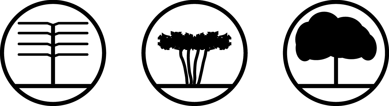 Maak een moodboard van de bomen in je project | Ebben Tree Nursery